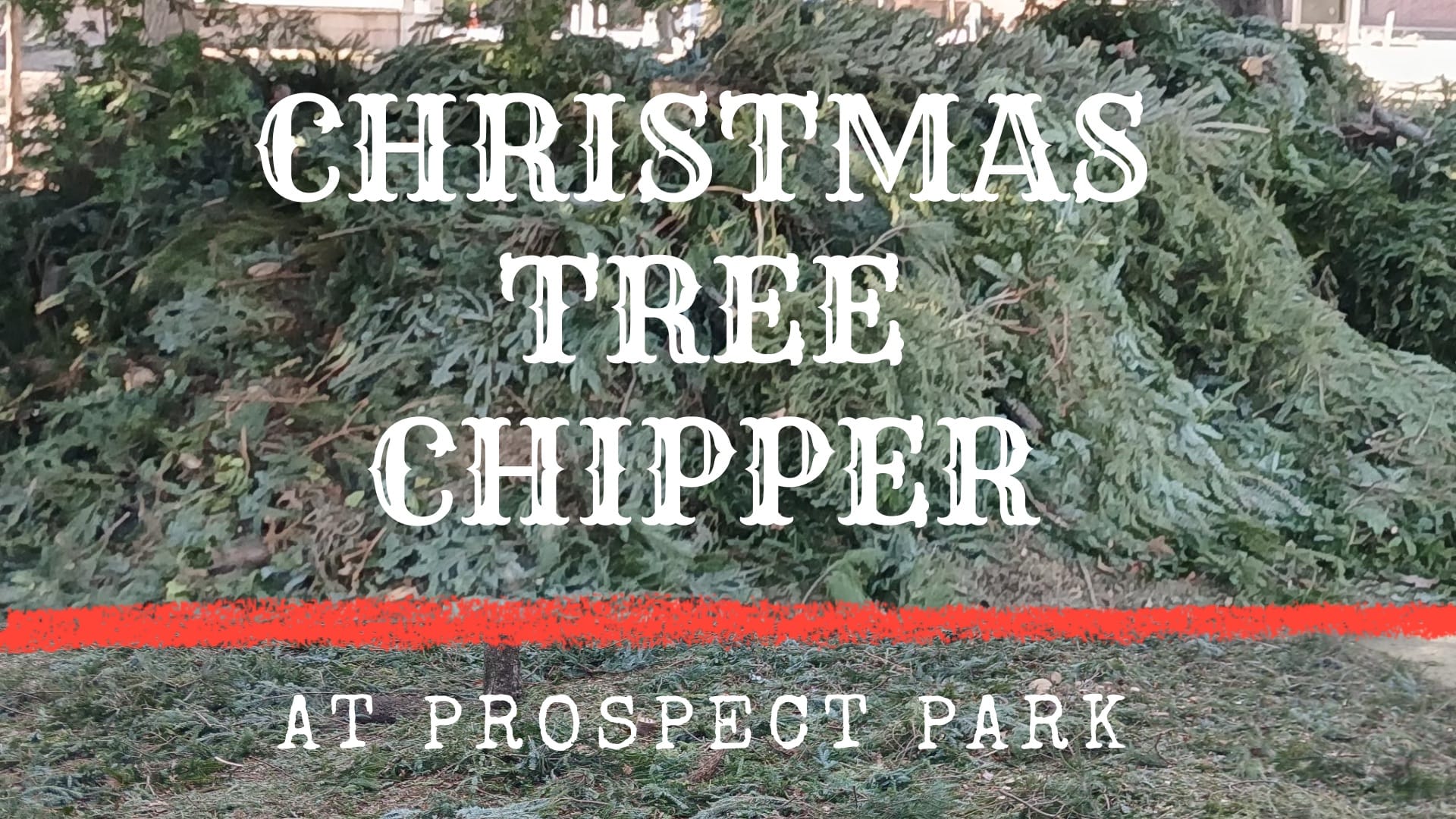 The Christmas tree chipper at Prospect Park